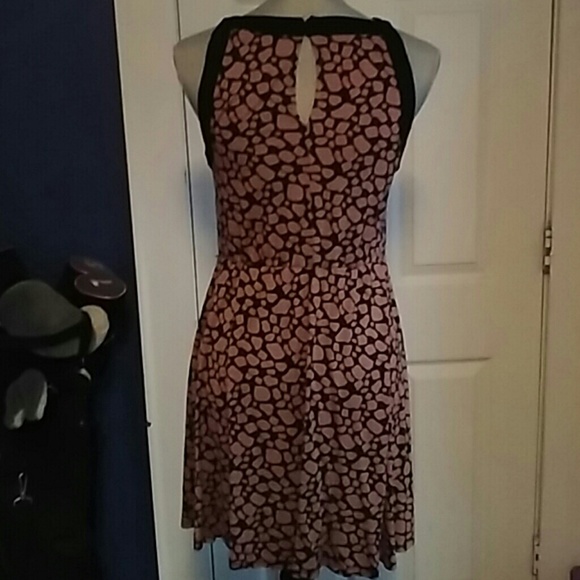 LOFT | Dresses | Ann Taylor Loft Dress | Poshmark